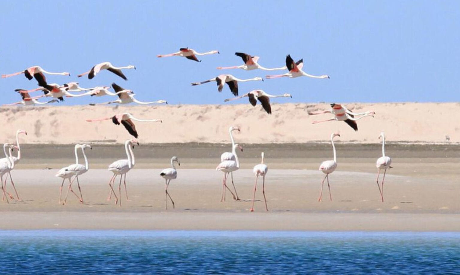 Top Things to Do in Dakhla, Morocco: The Hidden Paradise of the Sahara ...