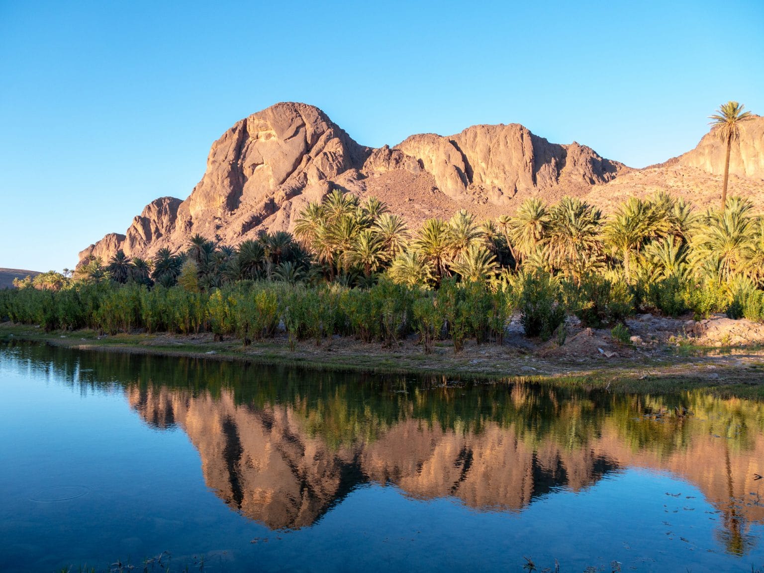The 7 Most Beautiful Oasis You Must Visit in Morocco - Morocco Beat