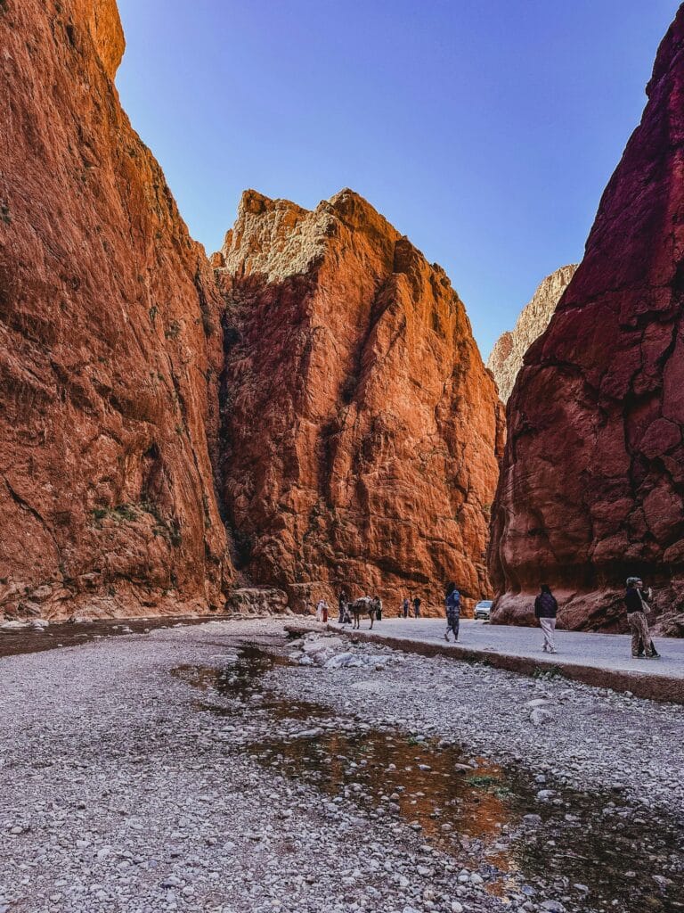 The 7 Most Beautiful Oasis You Must Visit in Morocco - Morocco Beat